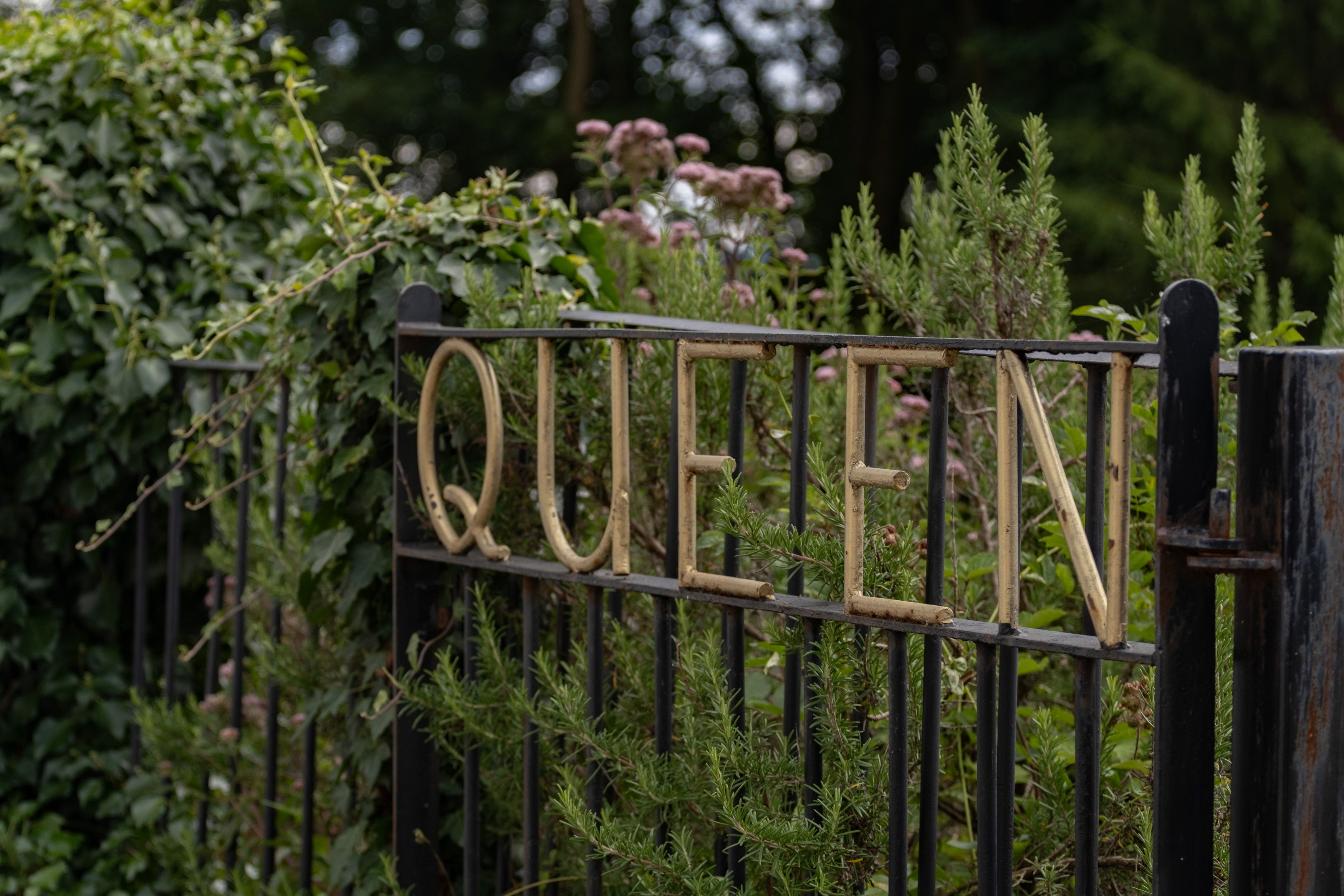 About Us | The Queen Inn
